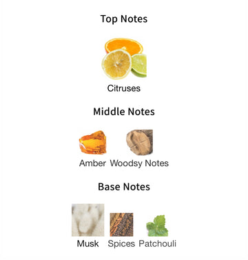 All Clones – Decant Box