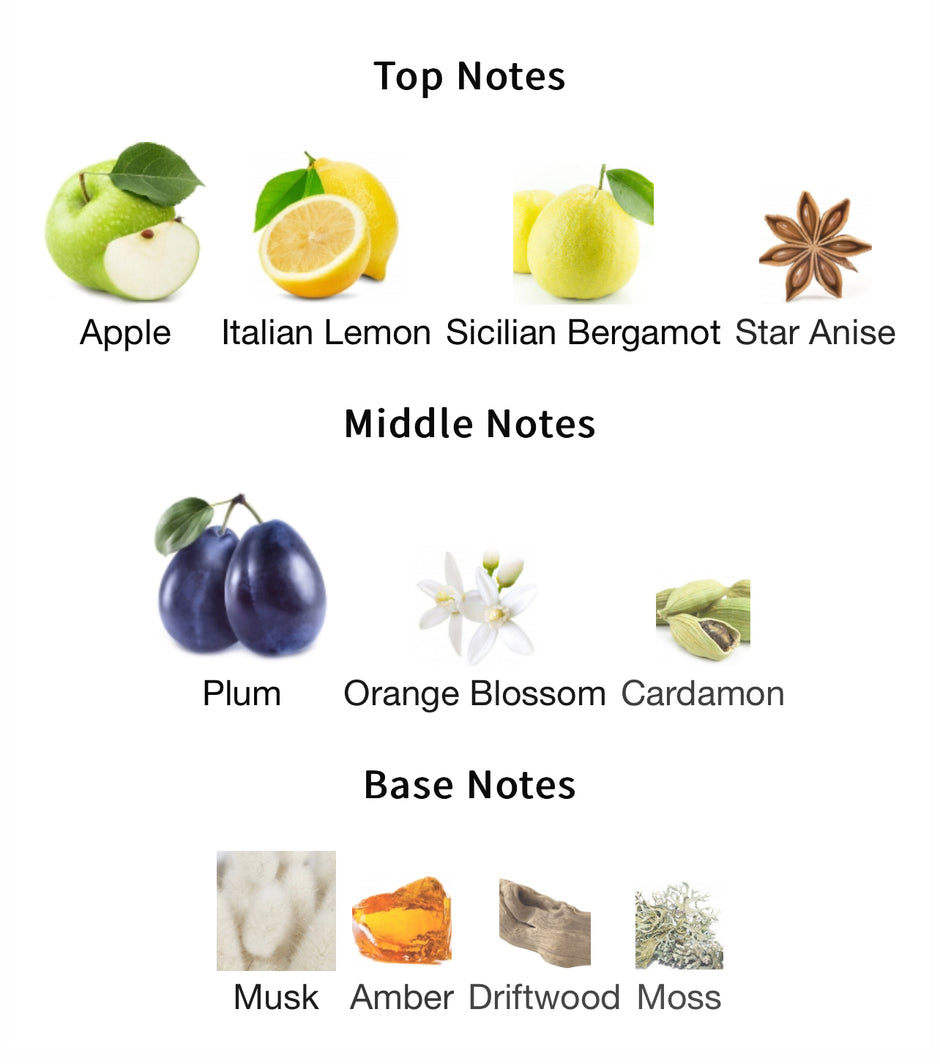 The GOATs – Decant Box