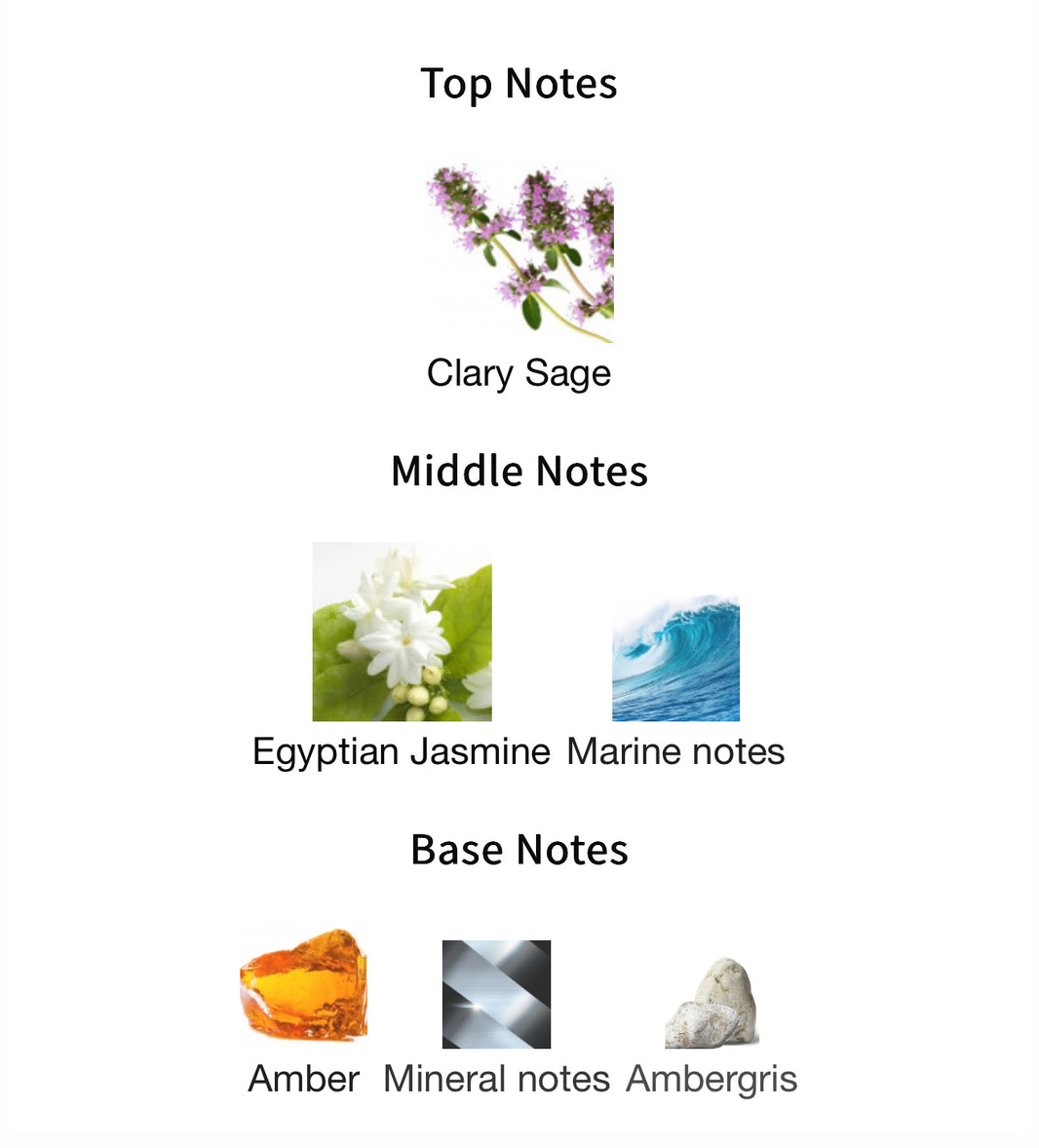 All Clones – Decant Box